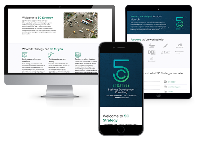 5C Strategy - Anachronism Press